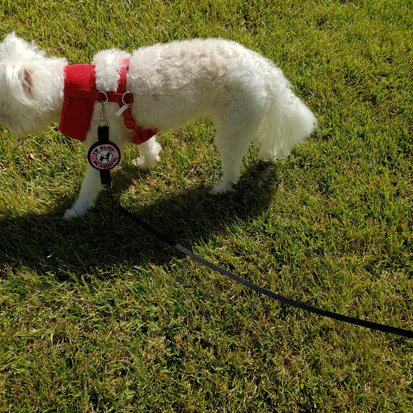 Blind Dog Accessories | Leash Wrap, Sleeve Blind Dog Camo Patch Set W ...