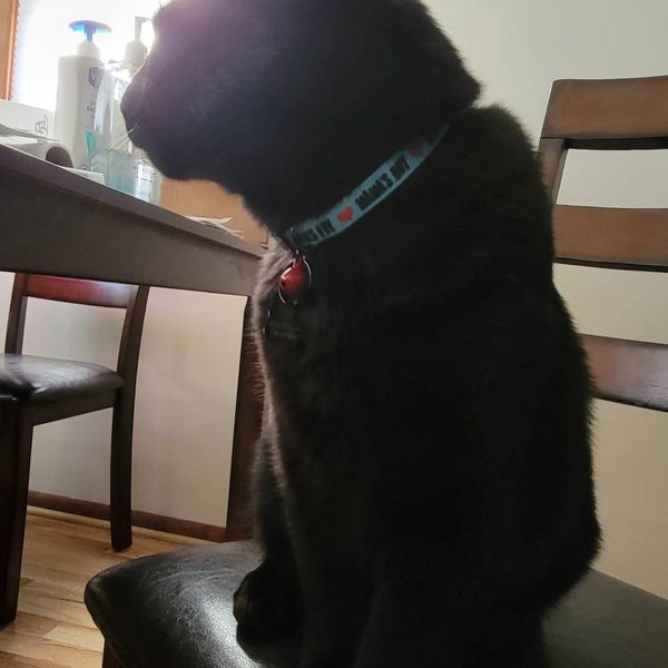 Strawberry Cat Collar Strawberry Kitten Collar Strawberry Collar ...