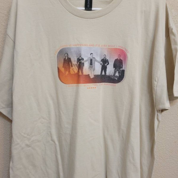 The Awakening Embroidered Cap | IYKYK JC Chasez *NSYNC Boyband Fan ...