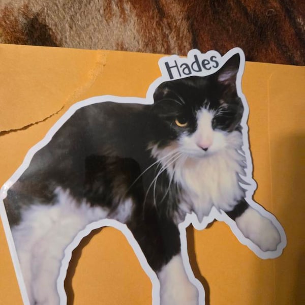 Custom Cartoon Sticker From Photo, Personalized Sticker Gift, Cartoon ...