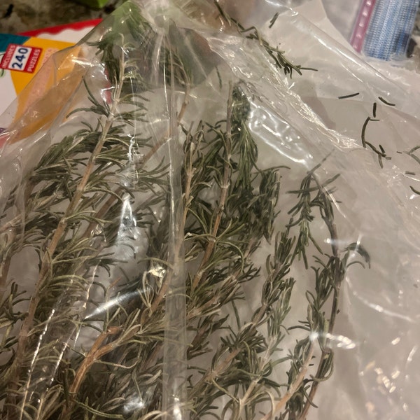 Dried Rosemary Bundle - Aromatic Herb for Crafts & Decor - Etsy