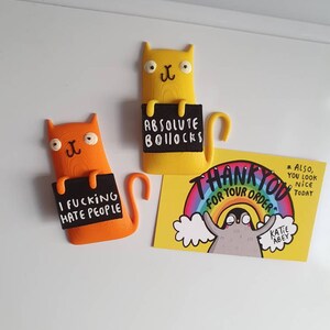 Absolute Bollocks Fridge Magnet Sweary Rainbow Cats Offensive Gift ...