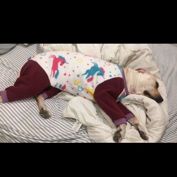 Beaded Fish Earrings, Sockeye Salmon Beaded Earrings, Rainbow Trout ...