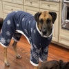 Dog Pajamas Sewing Pattern PDF Download | Large Dog 3 Pack | Large Dog ...