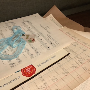 Antique Victorian Photo Album Illustrated Pages, Satin Finish End ...