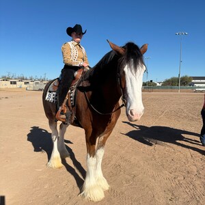 Western Dark Green Show Shirt for Rodeo Queen Dress Horse Riding ...