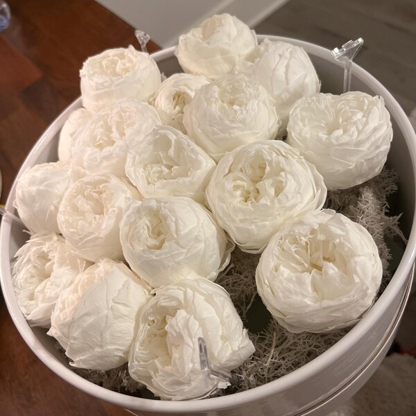 Preserved PEONIES in a Crystal Box - Forever PEONIES - Infinity PEONIES ...