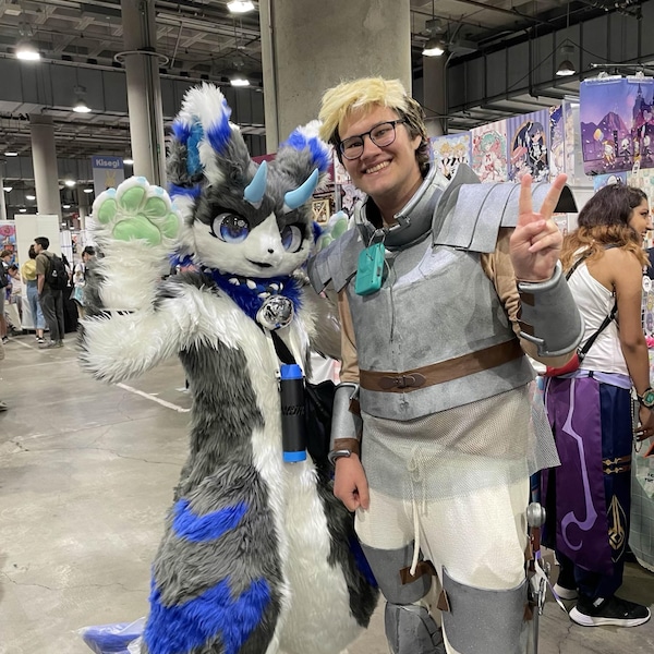 Laios Touden Digital Cosplay Armor Pattern Delicious in Dungeon - Etsy