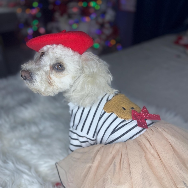 Bride's Party Attire for Your Pup - Luxury Dog Robe - Small Dog Fashion ...