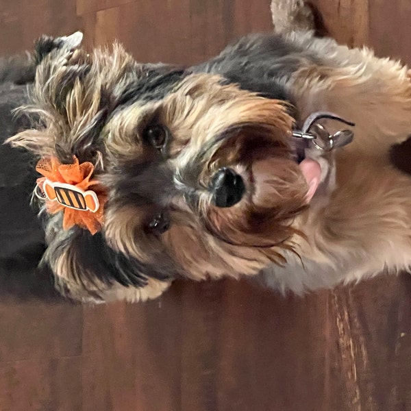 Plain DOG BOWS, Tulle Dog Bows, Grooming Dog Topknot Bows - Etsy