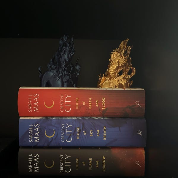 Bookshelf Sign Fantasy Library Book Lover Gift Custom Colors Book Club ...