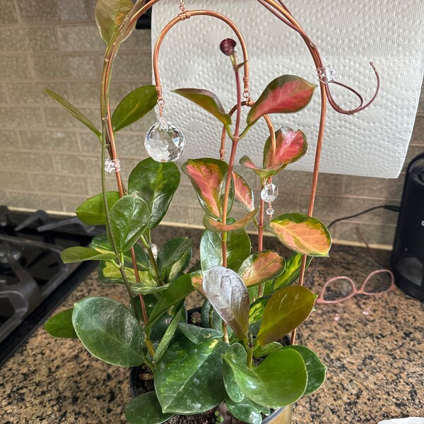 Mushroom Arch Mobile Suncatcher Trellis, Arch Trellis, Trellis for ...