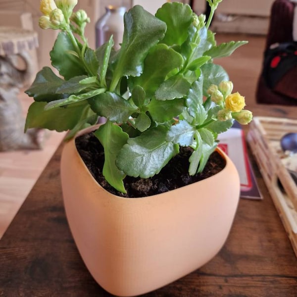 Pastel Coloured, Rounded Cube Pot, Planter, Pot With Feet, Coloured Pot ...