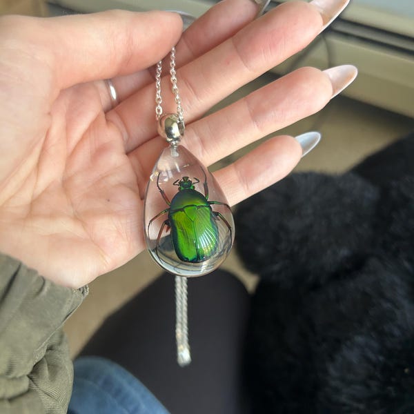Beetle in Resin Necklace, Real Insect Jewelry, Green Chafer Beetle ...