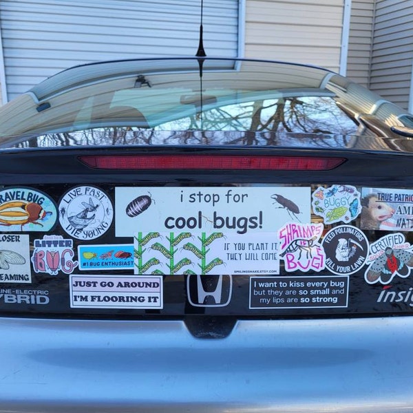 Deer Tick (black-legged Tick) Sticker, 2x2 in - Hydro Flask Sticker ...