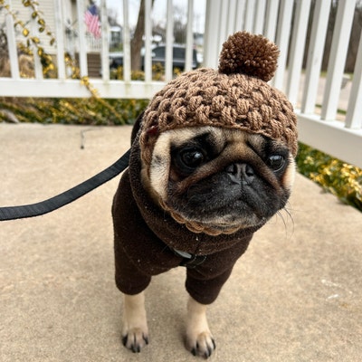 Small Cowboy Hat for Dogs and Cats - Etsy