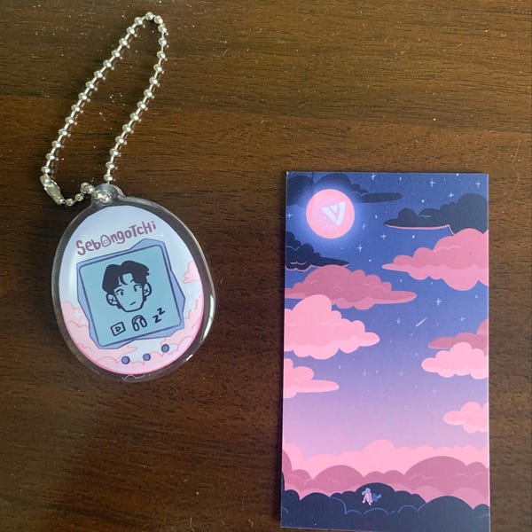 Pi Cheolin Transparent Sticker (seventeen/svt/kpop/deco) - Etsy