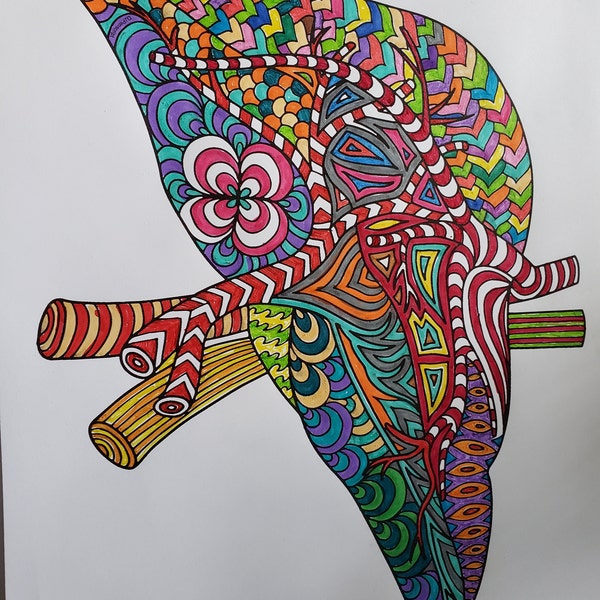 Liver - Human Anatomy - PDF Coloring Page - Etsy