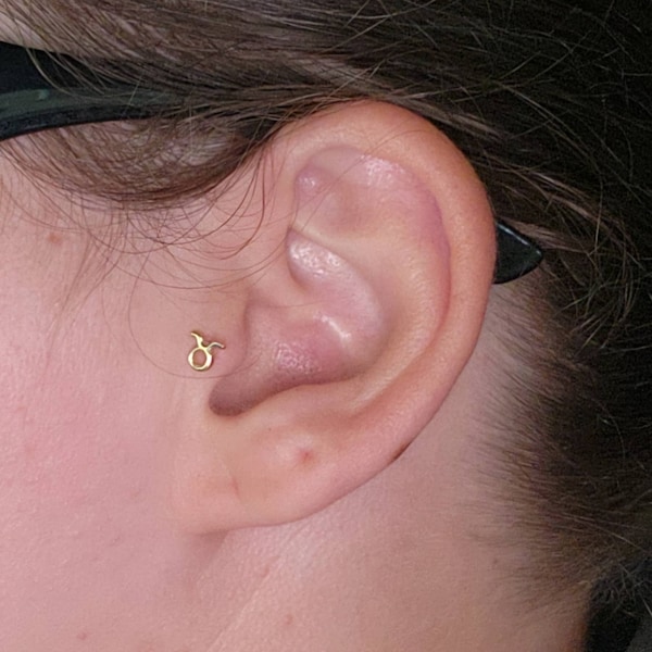 14K Solid Gold Skull Tragus Piercing,tragus Piercing, Daith Piercing, Stud Ear Piercing, 14K ...