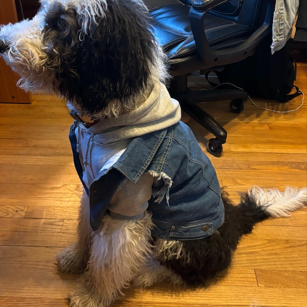 Denim Dog Jacket / Denim Dog Vest /dog Coat / Dog Denim / Dog Vest ...