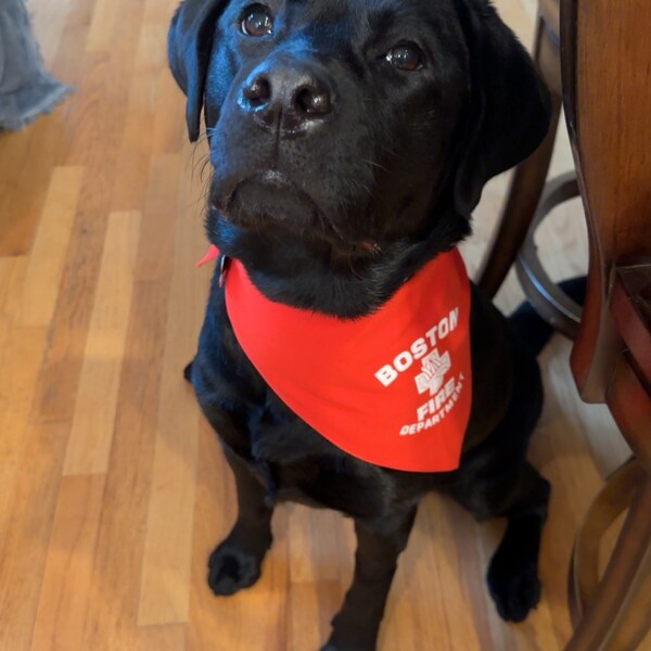 Boston Fire Leather Patch Hat - Etsy