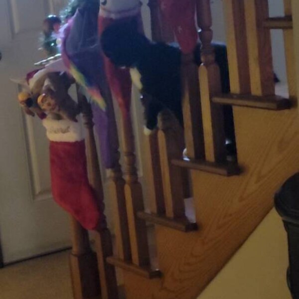 Bunny Rabbit Decorative Vacuum Cleaner Cover ~ DRESS Choices ~ Country ...