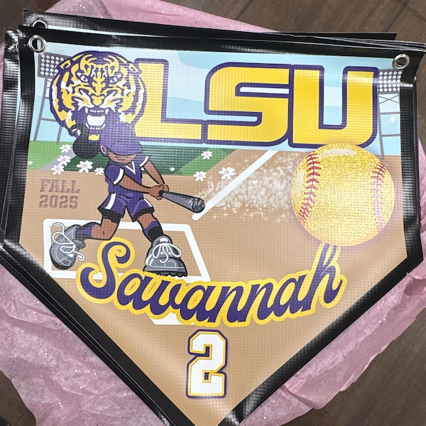 Completely Custom Printed Softball Home Plate Pennant Banner - Pink ...
