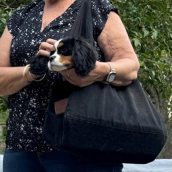 Dog Clothe, Dog & Human Matching Hoodie Set - Caramel People - Oversize ...