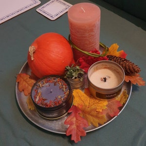 Dried Conkers Conkers in Shells dried Natural Conkers | Etsy