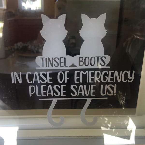 Funny Cat Sign, Cat Lovers Decor, Crazy Cat Lady, Funny Cat Quote, Wood ...