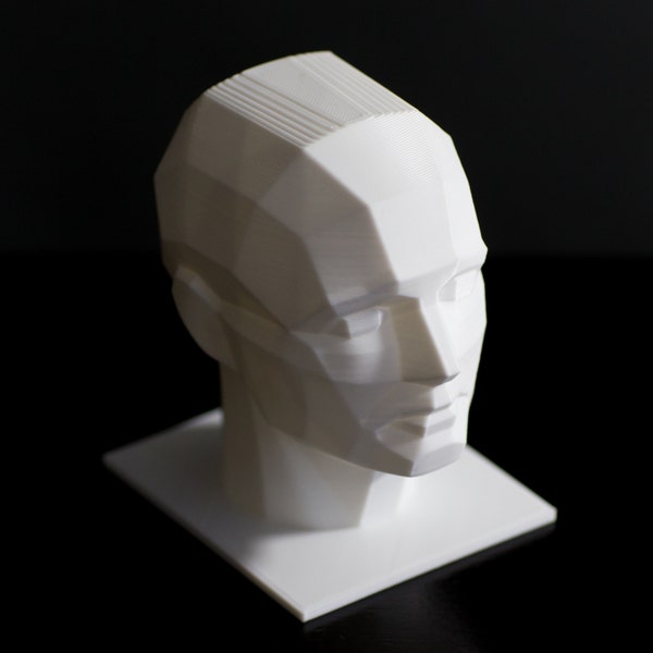 BESTSELLER - 3D Printed Planar Head Sculpture - Headpiece Model ...