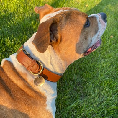 Custom Dog Tag / Custom Pet ID Tag Lucy in 1.25'' Domed Bronze ...