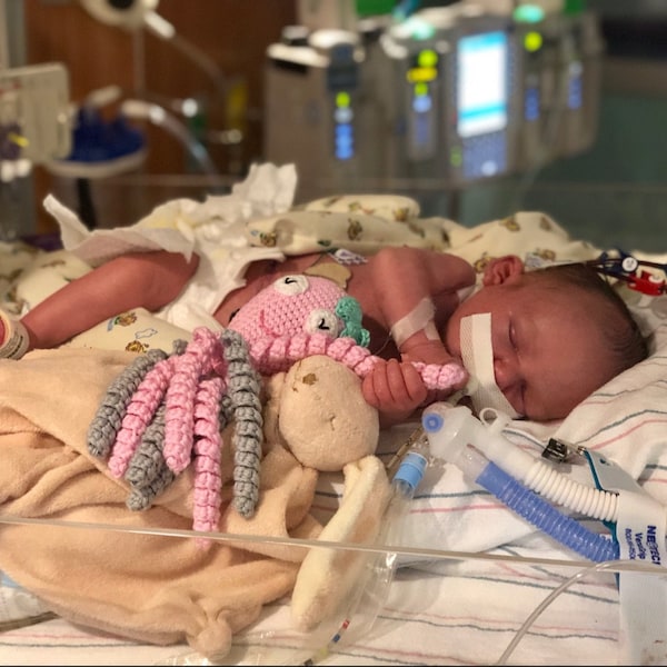 Preemie Octopus / Crochet Octopus / Octopus for Preemie Baby's ...
