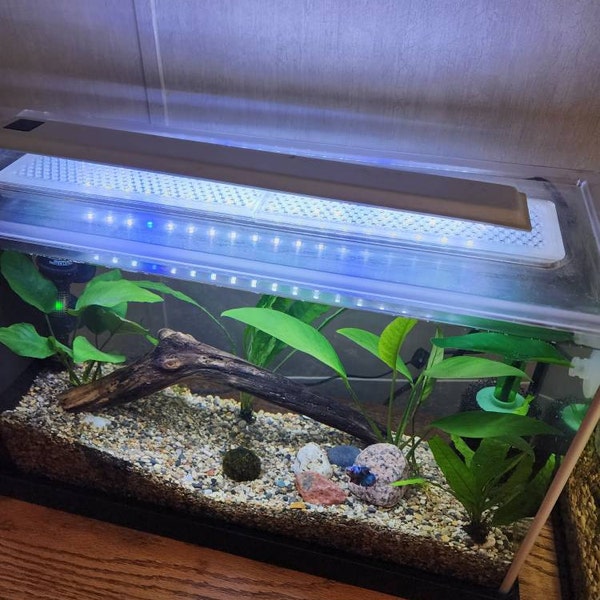 Fluval Spec V/ Evo 5 Lid Insert - 5g - Etsy