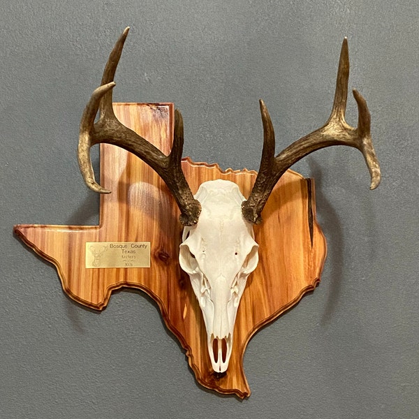 State Shaped European Skull Mount Plaques - Etsy