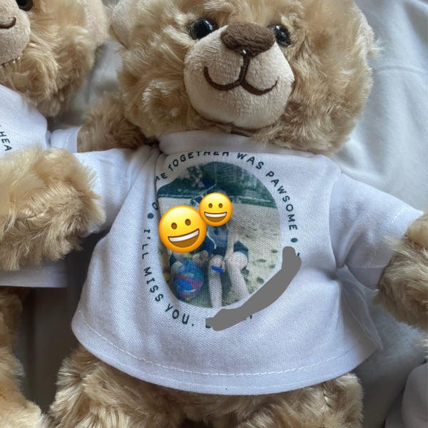 Memory Bear, Pepe Teddy Bear, Memorial Bear for Kids, Sympathy Bear ...