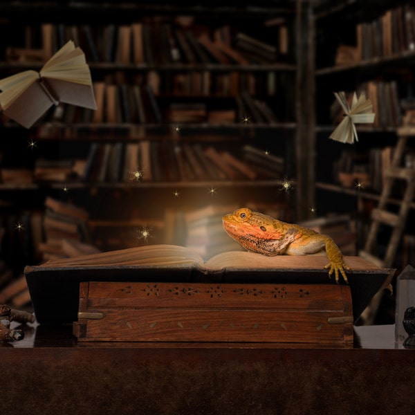 Flying Books Overlay Photoshop Overlays for Photoshop. Digital ...