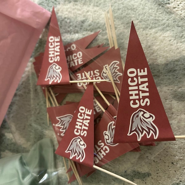 Custom College Pennant Flags | Centerpiece Pennant Flag | College Flag ...