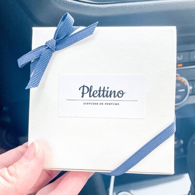 Mini Rose Diffuser/car Diffuser/vent Clip Diffuser/ Car Perfume/car ...