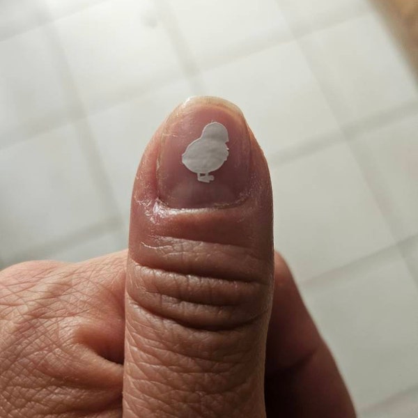 CHICKEN NAIL DECALS - Hen - Chick - Vinyl Decal - Nail Decor - Etsy