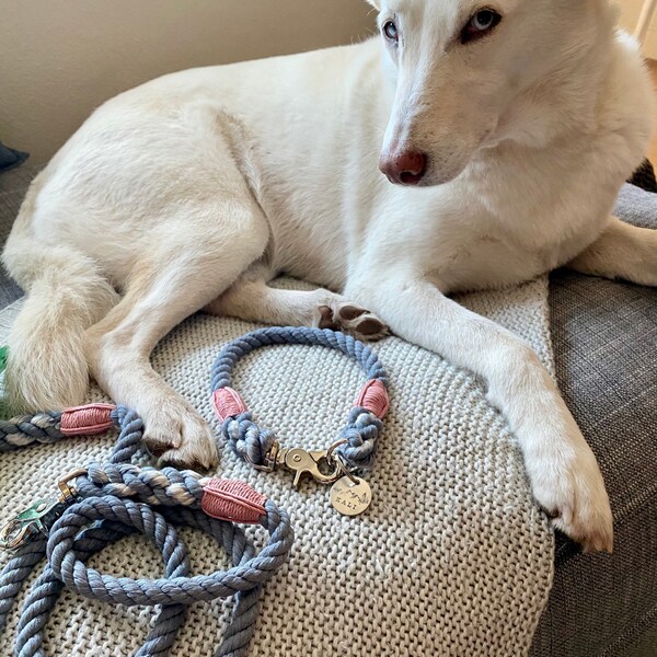 Seaside Blue Natural Cotton Rope Dog Collar - Nautical Dog Collar ...