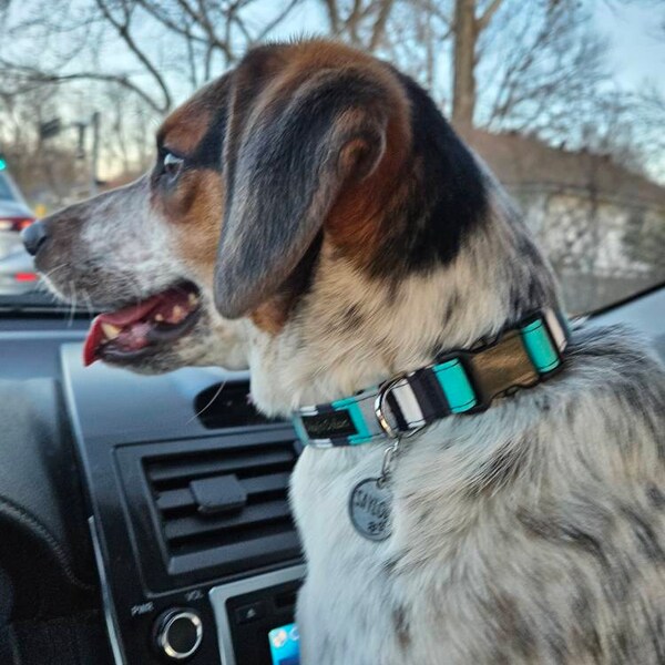 Rifle Paper Co. Dog Collar, Dog Collars, Floral Dog Collar, Girl Dog ...