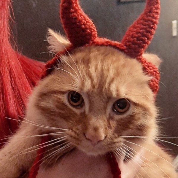 Devil Hat for Cats - Etsy