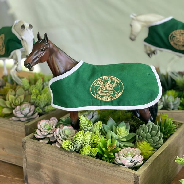 DREAMER Sonador Cale Crane Movie Regular Run Horse Breyer Horse ...