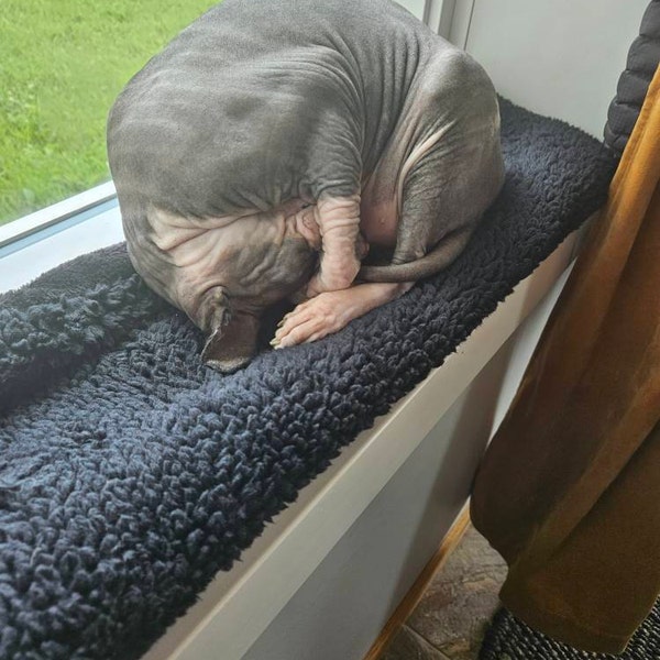 Window Sill Cat Pad/ 8 Sill Pad - Etsy