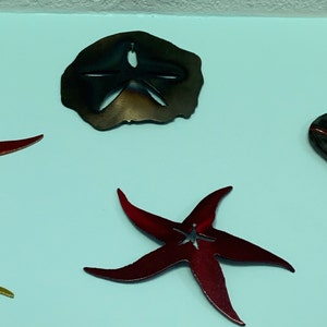 8 to 10 Inch Knobby Starfish Armored Thorny Pure White - Etsy