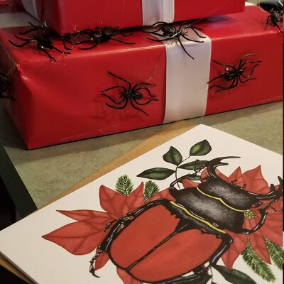 Insect Card, Entomology, Unusual Gift for Naturalist - Etsy