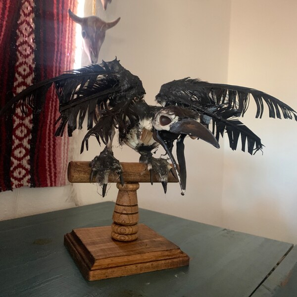 Raven Skeleton Prop on A Rustic Wooden Perch - Etsy