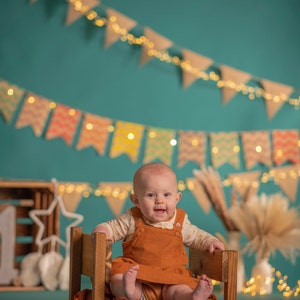 WOODEN NUMBER 1 for Your Baby Birthday Sessions Newborn - Etsy