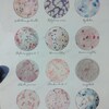 Microbe Collection, Bacteria, Bacteria Art, Science, Science Art ...